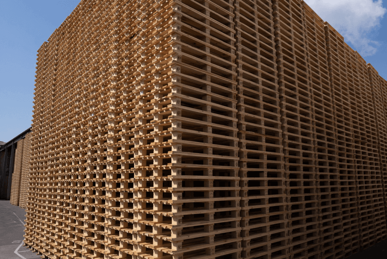 Homepage | dreiso